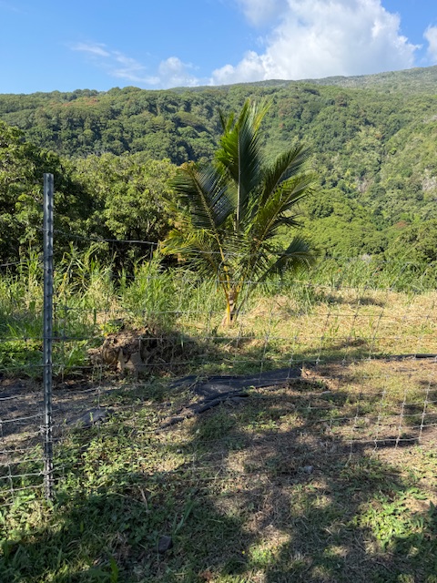 Vicky Durandʻs Adventure Blog #117 – Wave Woman: The Life and Struggles ...